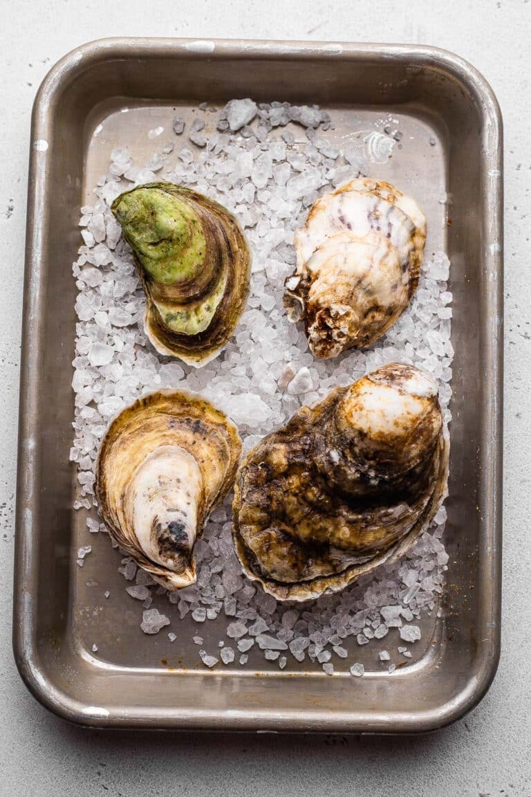 Oysters with Mignonette | So Much Food